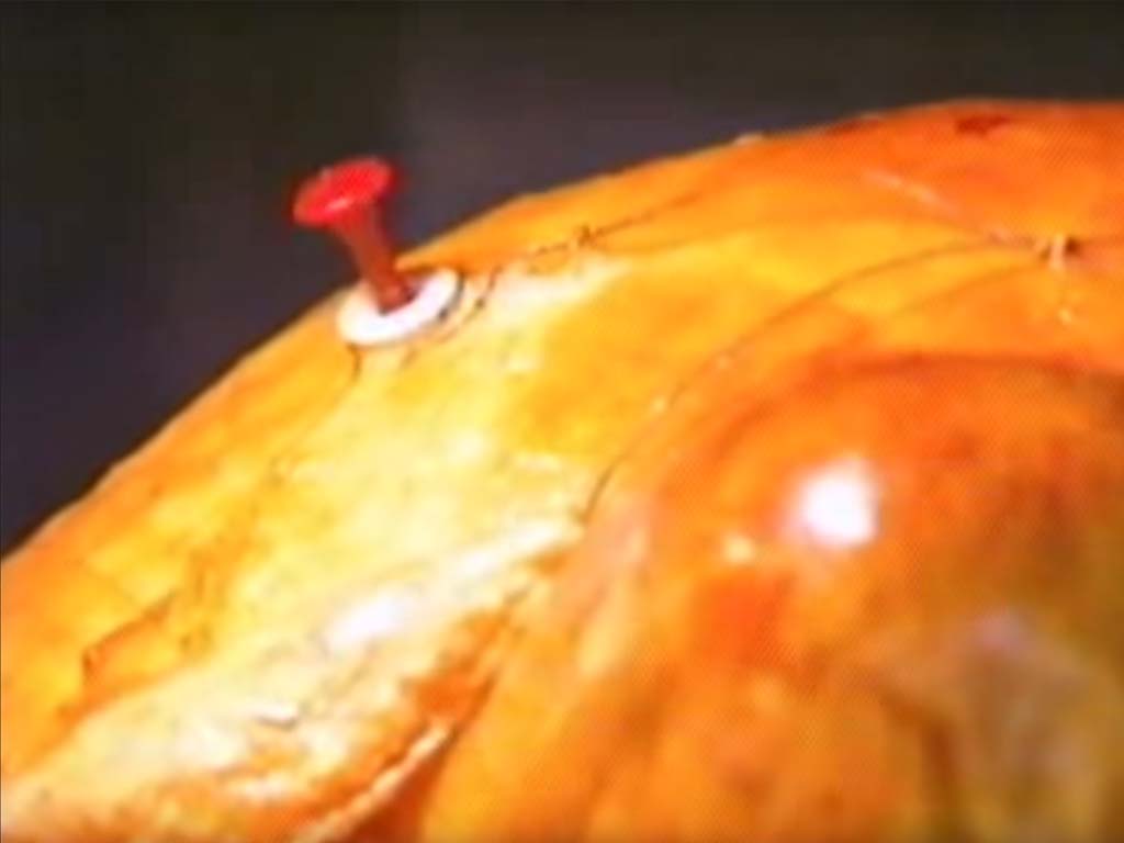 Turkey Pop Up Timers 180L 100 pack | Scobies Direct